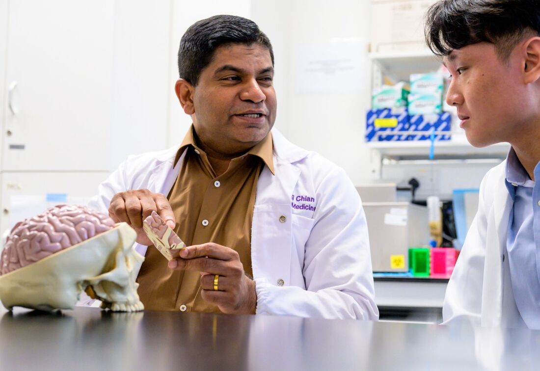 Clogged ‘drains’ in the brain a likely early-warning sign of Alzheimer ...